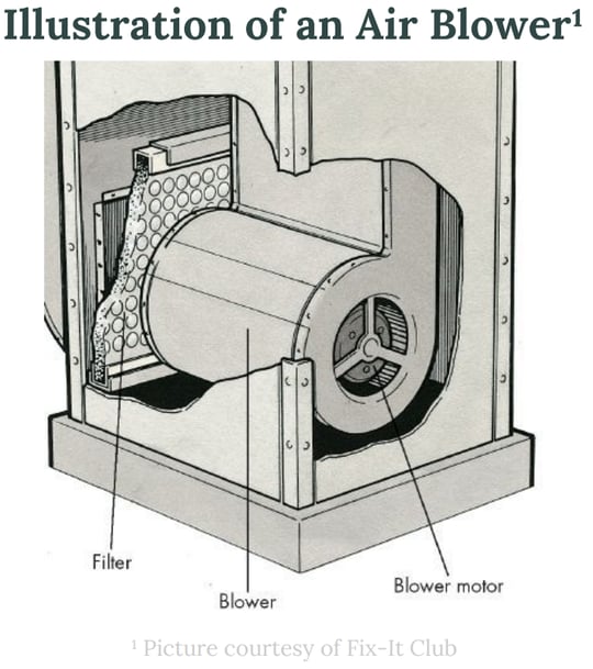 Understanding the Blower Motor in Your HVAC System