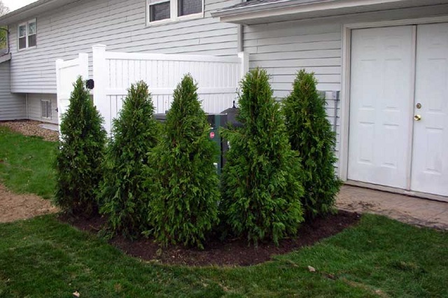 How to Effectively Landscape Around Your HVAC Unit